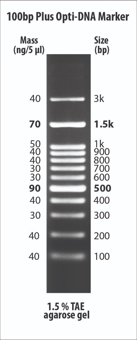 100bp Plus Opti-DNA Marker