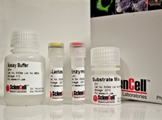 L-Lactate Assay