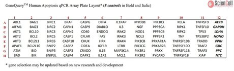 GeneQuery Human Apoptosis qPCR Array Kit