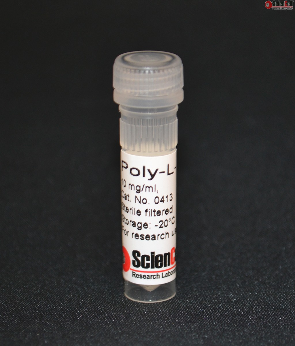 Poly-L-Lysine (PLL),