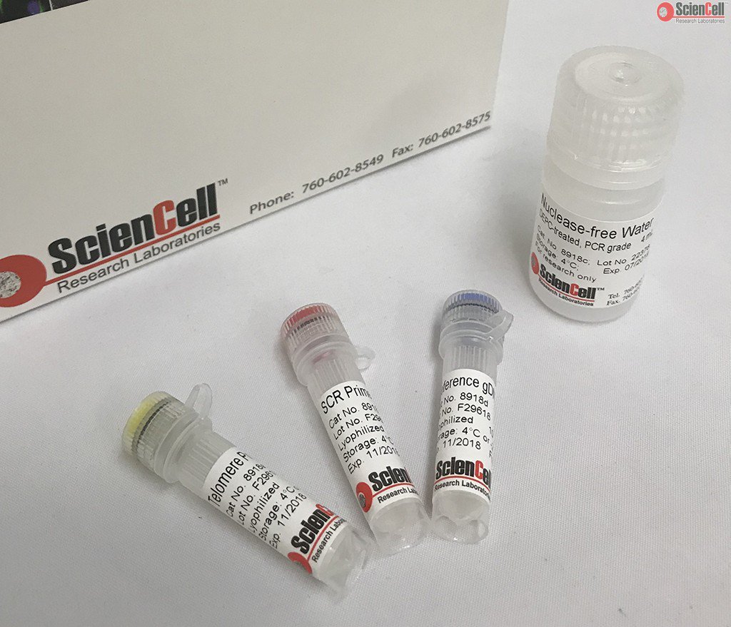 Absolute Human Telomere Length Quantification qPCR Assay Kit