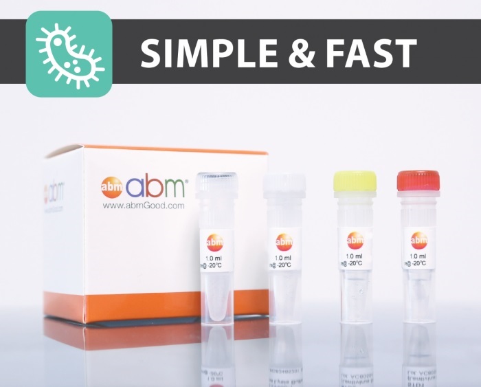 Mycoplasma PCR Detection Kit, detection of 200+ strains of Mycoplasmas ...