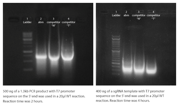 OneScribe T7 Transcription Kit