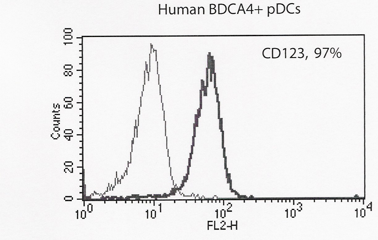 Plasmacytoid Dendritic Cells, BDCA-4+, CD123+, Human Peripheral Blood ...
